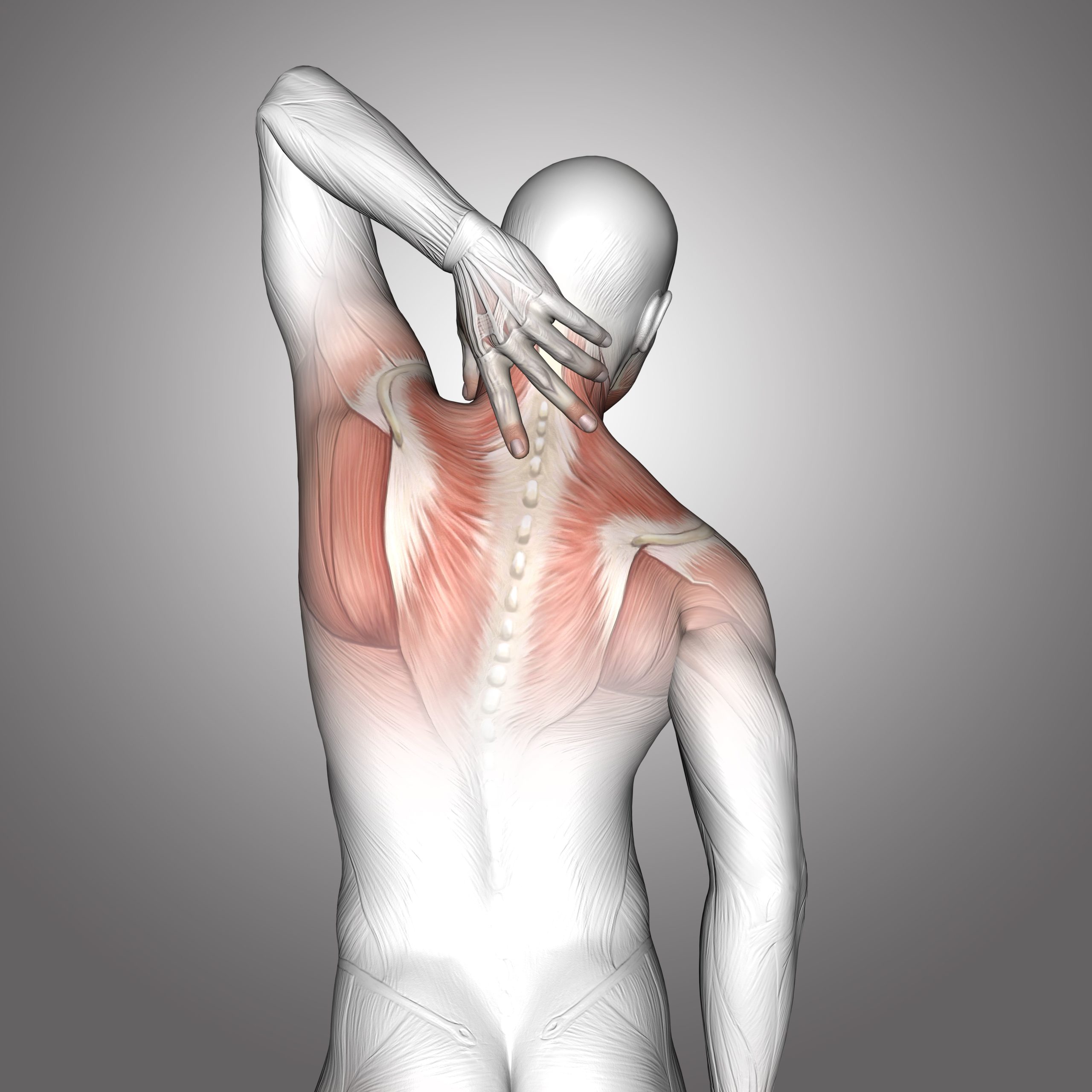 Upper Motor Neuron Lesion: Causes, Symptoms, Treat..